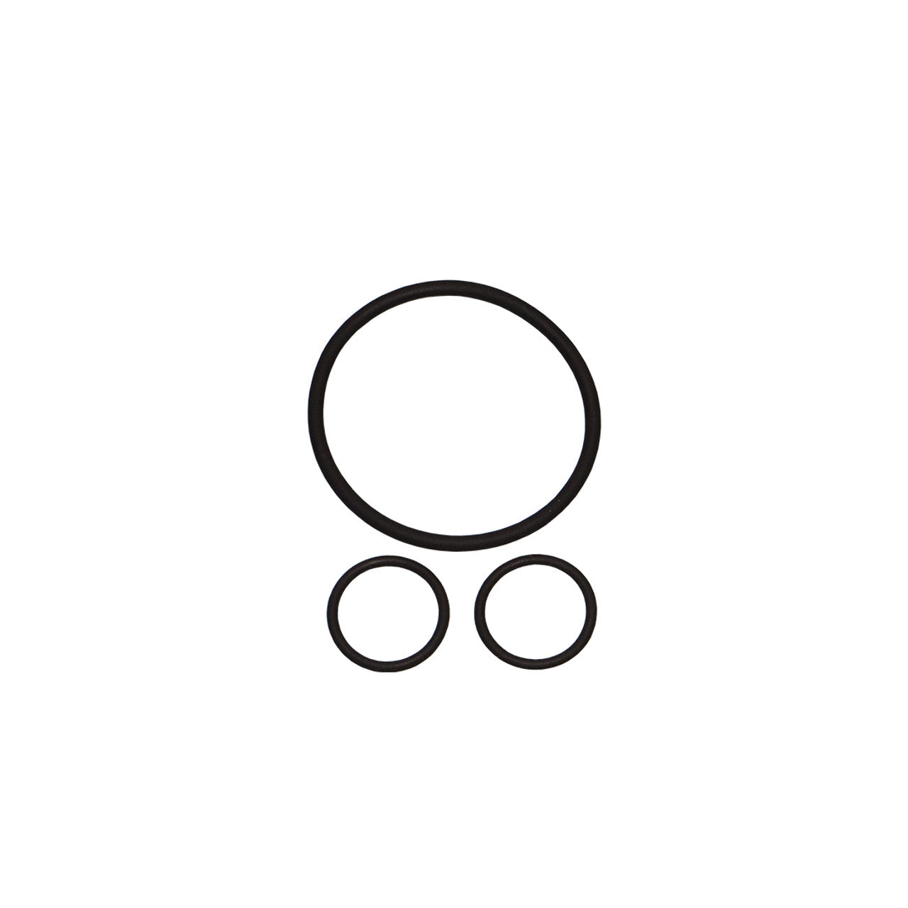 Bedford O-Ring Kit 20-3118 for Graco CS Fusion – ThePaintStore.com