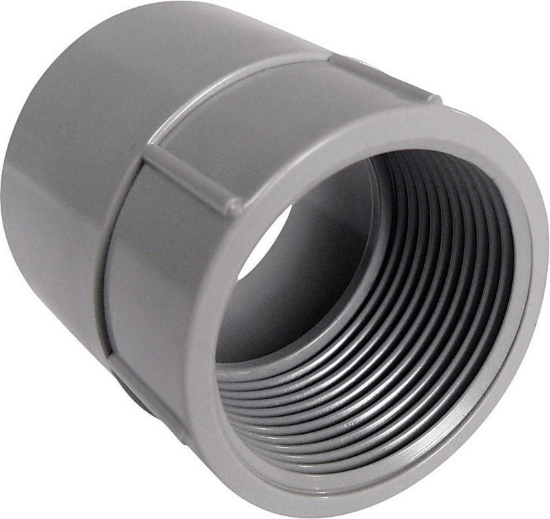 Cantex 5140044 3/4 in. Schedule 40 Female Adapter – ThePaintStore.com