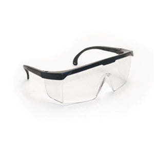 SAS Safety Corp Hornets Safety Glasses with Clear Lens 5270 ...